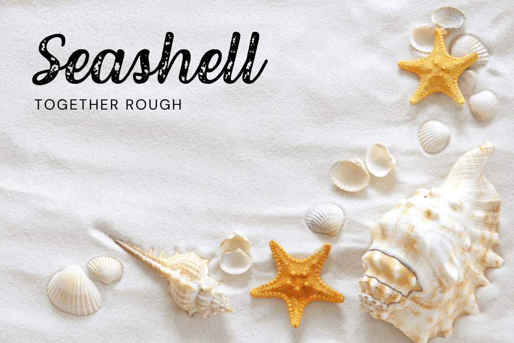 69 Best Beachy Fonts on Canva for Sizzling Summer Designs
