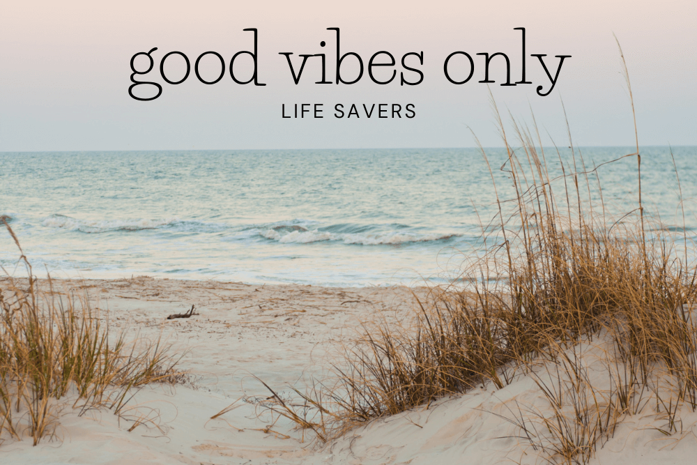 69 Best Beachy Fonts on Canva for Sizzling Summer Designs