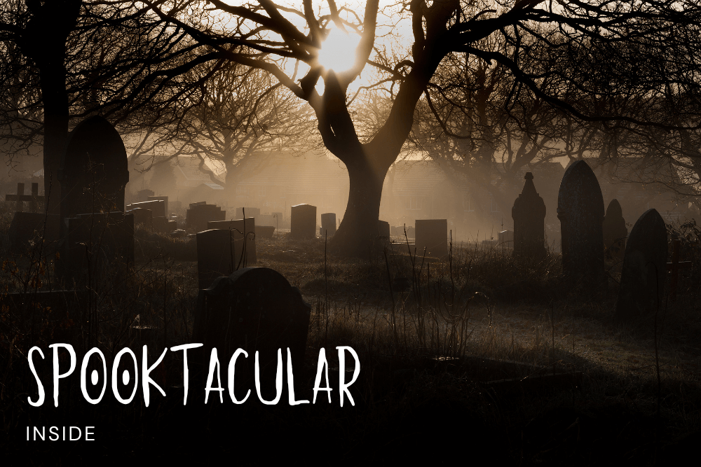 31 Spooky Halloween Fonts on Canva to Haunt Your Designs